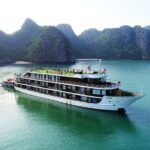 All-Inclusive 2 Day/1 Night Halong Luxury Cruise, Meals, Cave, Kayaking,Swimming - A Deep Dive into the Halong Bay Experience
