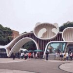 All Inclusive Chengdu Private Day Tour to Panda Breeding Base andCity Highlights - What the Reviews Say