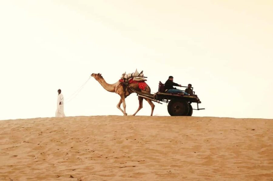 All Inclusive Full Day Jaisalmer Golden City Tour - What Makes This Tour Stand Out?