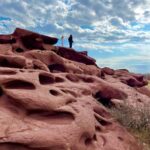 Almaty: 2-Day Altyn-Emel National Park Tour with Meals - Exploring Altyn-Emel: More Than Just a Scenic Drive