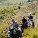 Aluminé: 4-Day Patagonian Horseback Riding Tour with Lodging - Who Is This Tour Best For?