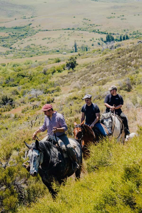 Aluminé: 4-Day Patagonian Horseback Riding Tour with Lodging - Who Is This Tour Best For?