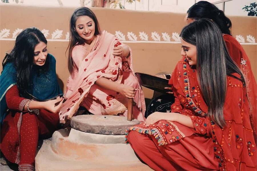 Amritsar: Sadda Pind Authentic Punjabi Village Tour - The Practical Side: Logistics and Value