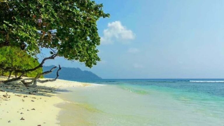Andaman Adventure with Scuba Diving - 3 Nights 4 Days - What Makes This Tour Special?