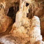 Andaman Island: Day Tour to Baratang Island - Breaking Down the Itinerary