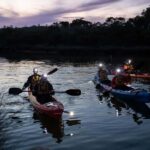 Anglesea: Night Kayaking Tour Under the Stars - Why This Tour Stands Out