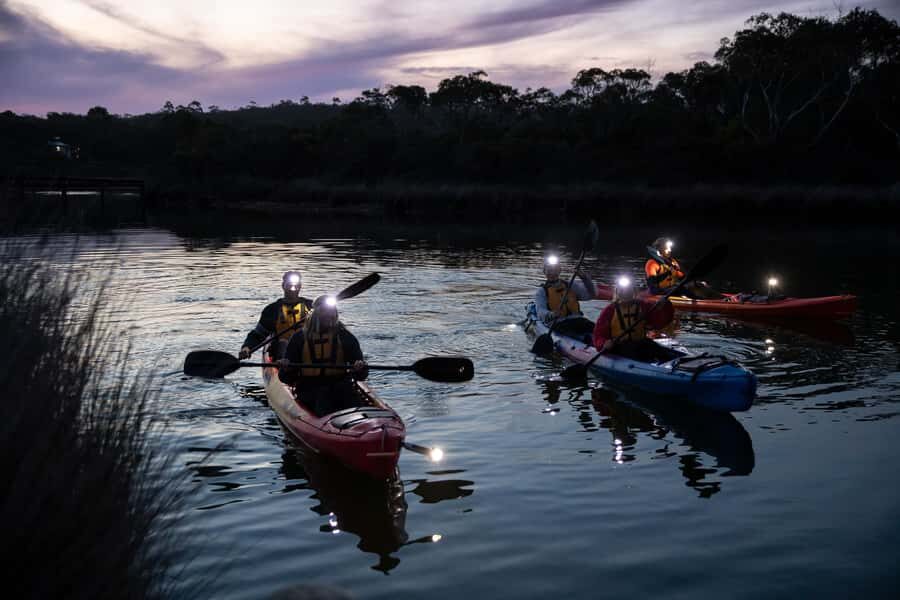 Anglesea: Night Kayaking Tour Under the Stars - Why This Tour Stands Out