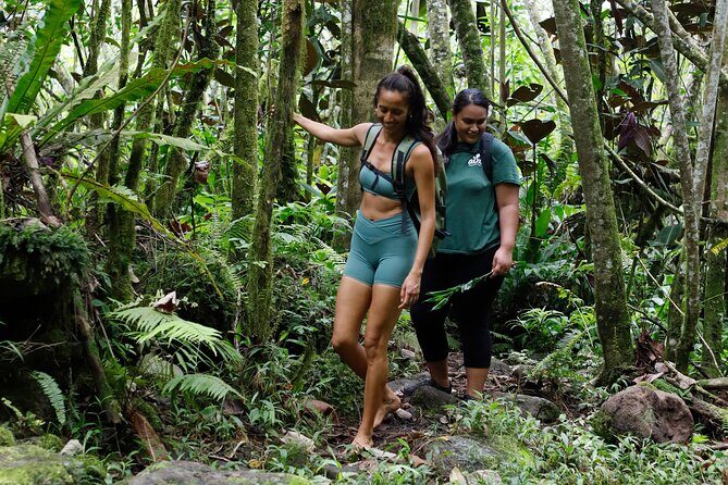 AOA Polynesian Forests - Hiking Sanctuary Biodiversity Tahiti - Who Will Appreciate This Tour?