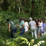 AOA Polynesian Forests - Tahiti Biodiversity Sanctuary Hike - The Impact of Your Participation