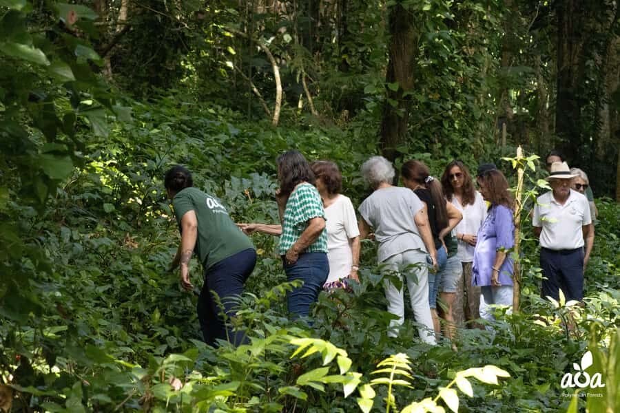 AOA Polynesian Forests - Tahiti Biodiversity Sanctuary Hike - The Impact of Your Participation