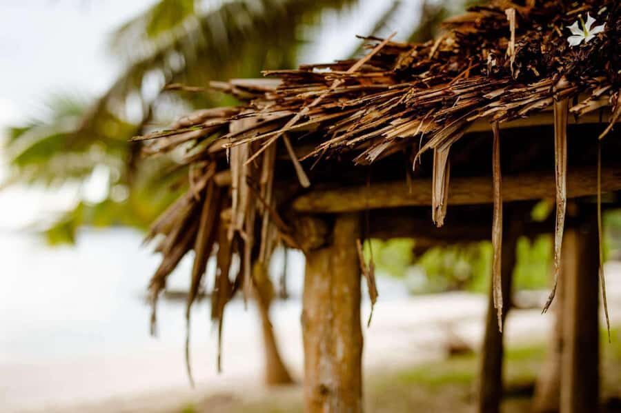 Apia Port: Cruise Guests Shore Excursion - The Value of This Tour