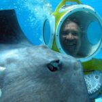 Aquablue Moorea - The Practical Side: Logistics, Price, and Value