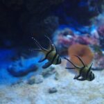 Aquaria KLCC Ticket - Authentic Perspectives from Past Visitors