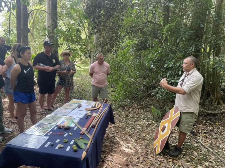 Atherton: Yidinji Explorer Tour with Fig Tree & Lake Barrine - The Stop at the Cathedral Fig Tree
