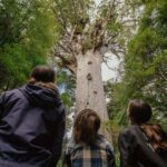 Auckland: 2-Day Bay of Islands Small Group Tour with Cruise - Who Is This Tour Best For?