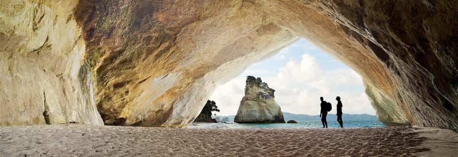 Auckland: Cathedral Cove and Hot Water Beach Day Trip - What Makes This Tour Stand Out?