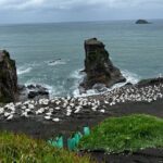 Auckland City and West Coast Black Sand Beach Full Day Tour - Who Will Love This Tour?