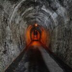 Auckland: Karangahake Gorge & Waihi Gold Explorer Tour - A Tasty Break at Waikino Station Café