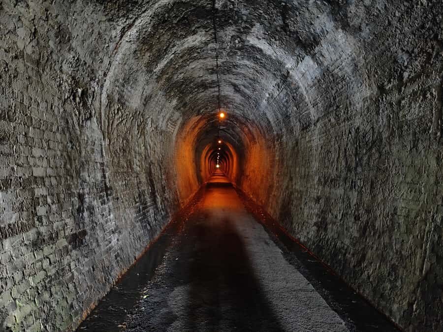 Auckland: Karangahake Gorge & Waihi Gold Explorer Tour - A Tasty Break at Waikino Station Café