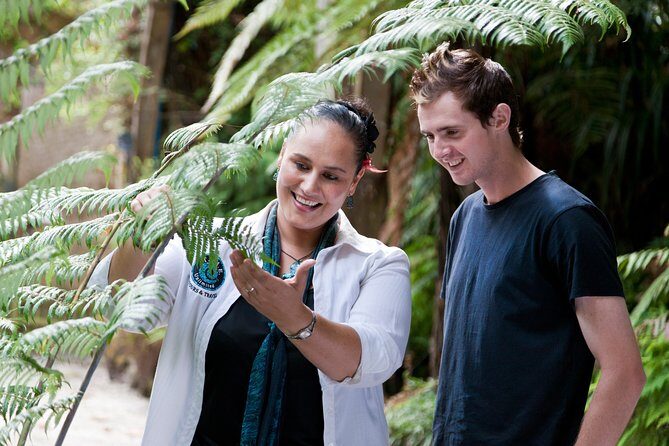 Auckland Maori Tour - Who Will Love This Tour?