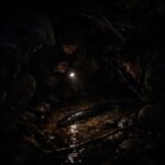 Auckland: Piha Native Bat Discovery Walking Tour - The Itinerary: What to Expect