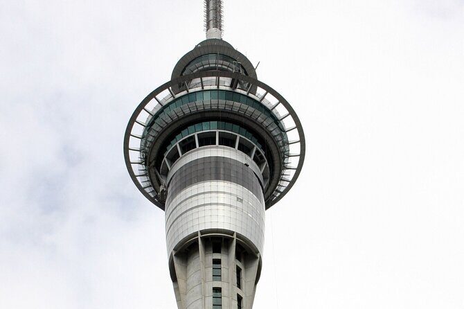 Auckland Private Custom Tour with a Local: Highlights & Gems - The Sum Up