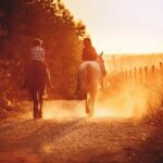 Auckland: Private Horseback Ride + Lunch + Wine + Pick up - What Travelers Say