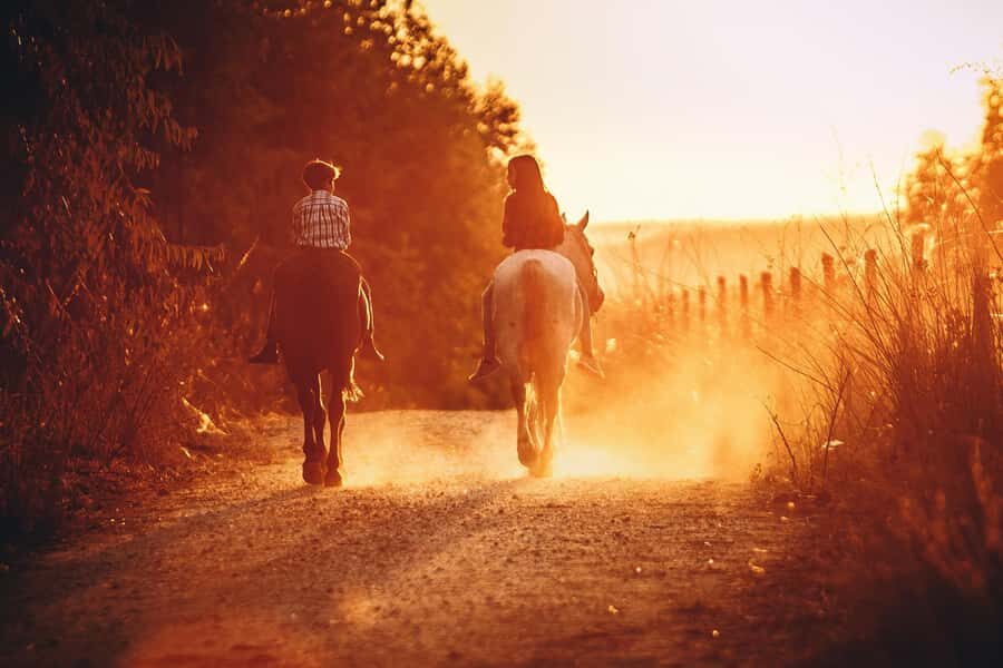 Auckland: Private Horseback Ride + Lunch + Wine + Pick up - What Travelers Say