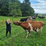Auckland: Private Sheep & Beef Working Farm Tour - What Makes This Tour Stand Out?