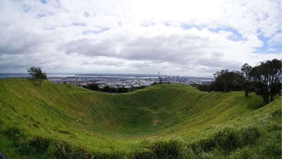 Auckland: Private Sightseeing Full or Half Day Guided Tour - Transportation and Group Size