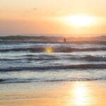 Auckland Private Tour: West Coast Wilderness & Piha Beach - Piha Beach: The Iconic Black Sand Coastline