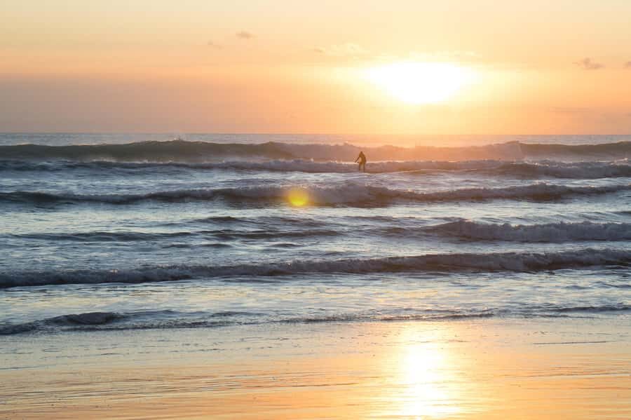Auckland Private Tour: West Coast Wilderness & Piha Beach - Piha Beach: The Iconic Black Sand Coastline