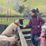 Auckland: Sheepworld, Honey Centre, & Kauri Trail Tour - Itinerary Breakdown & Highlights