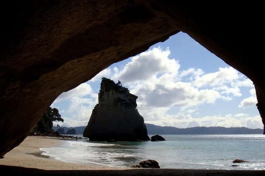 Auckland to Coromandel: Private Coastal Escape - Who Will Love This Tour?