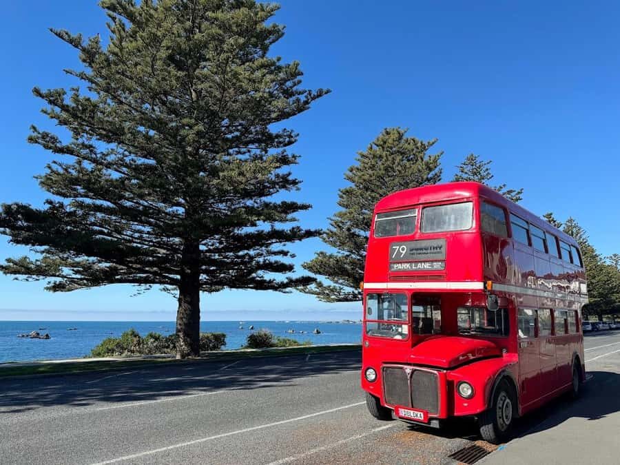 Auckland: Vintage Double-Decker Bus Sightseeing Tour - Additional Practical Details