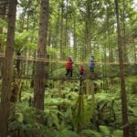 Auckland: Wai Ariki Hot Springs & Rotorua Redwoods Tour - What We Love About This Tour