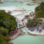 Auckland: Wai-O-Tapu & Wai Ariki Hot Springs Day Tour - The Experience: What Sets It Apart?