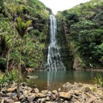 Auckland West Coast Rainforest and Beach Tour - What’s Included and What to Keep in Mind