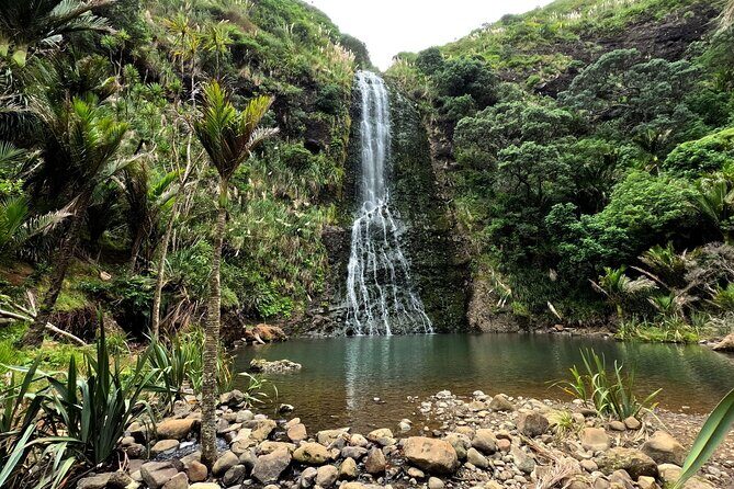 Auckland West Coast Rainforest and Beach Tour - What’s Included and What to Keep in Mind