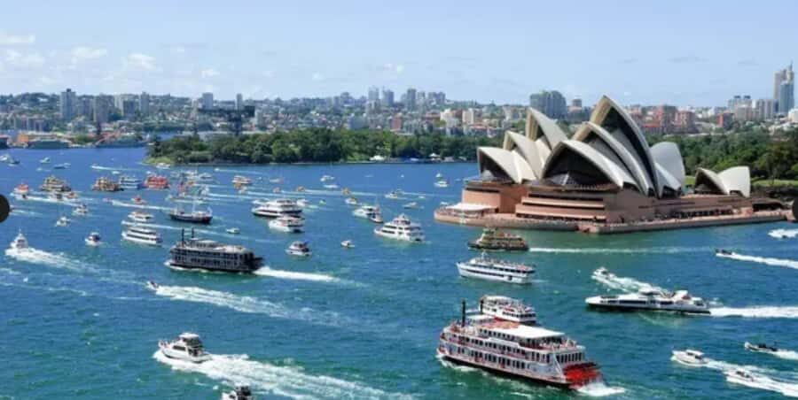 Australia Day Spectator Cruise - Who Will Enjoy This Cruise?