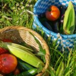 Authentic! Japanese Ramen Cooking Experience - The Experience’s Practical Details