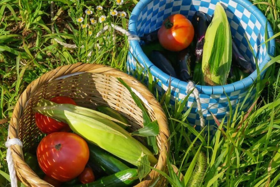 Authentic! Japanese Ramen Cooking Experience - The Experience’s Practical Details