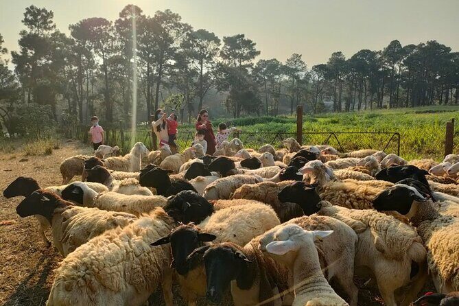 Authentic Vietnam Farming Full Day Small Group Tour - Who Should Consider This Tour?