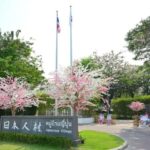 Ayutthaya Pass Save up to 53% - Includes Mayura's House - Authentic Experiences from Travelers