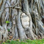 Ayutthaya Summer Palace and Temples Day Tour from Bangkok - FAQ: Practical Questions About the Ayutthaya Tour