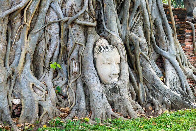 Ayutthaya Summer Palace and Temples Day Tour from Bangkok - FAQ: Practical Questions About the Ayutthaya Tour