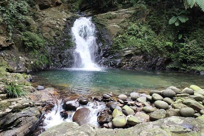 Bach Ma Park via Hai Van Pass Private Full-Day Trekking Tour - What Travelers Say