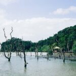 Bako National Park from Kuching City - The Sum Up