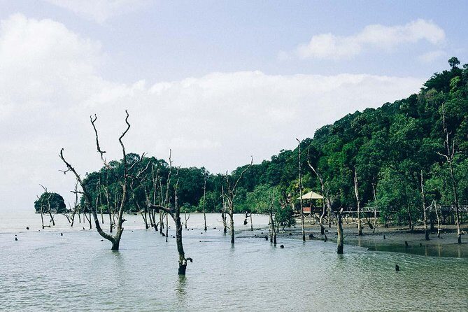 Bako National Park from Kuching City - The Sum Up