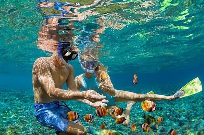 Bali Blue Lagoon Snorkeling - Lunch and Transport All Inclusive - What Travelers Say: Authentic Perspectives